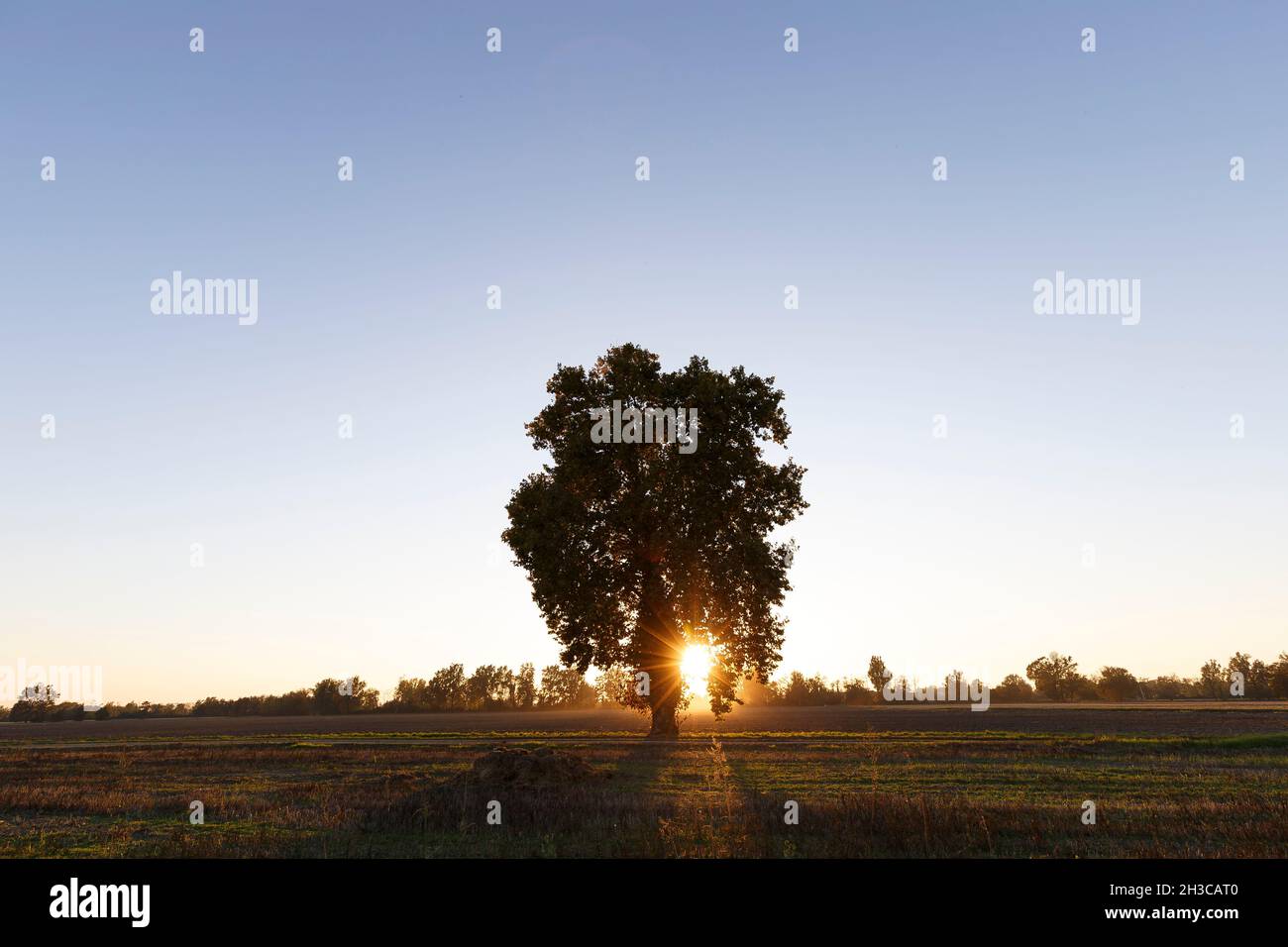 Countryside sunset landscape with vivid colors. No people are visible ...