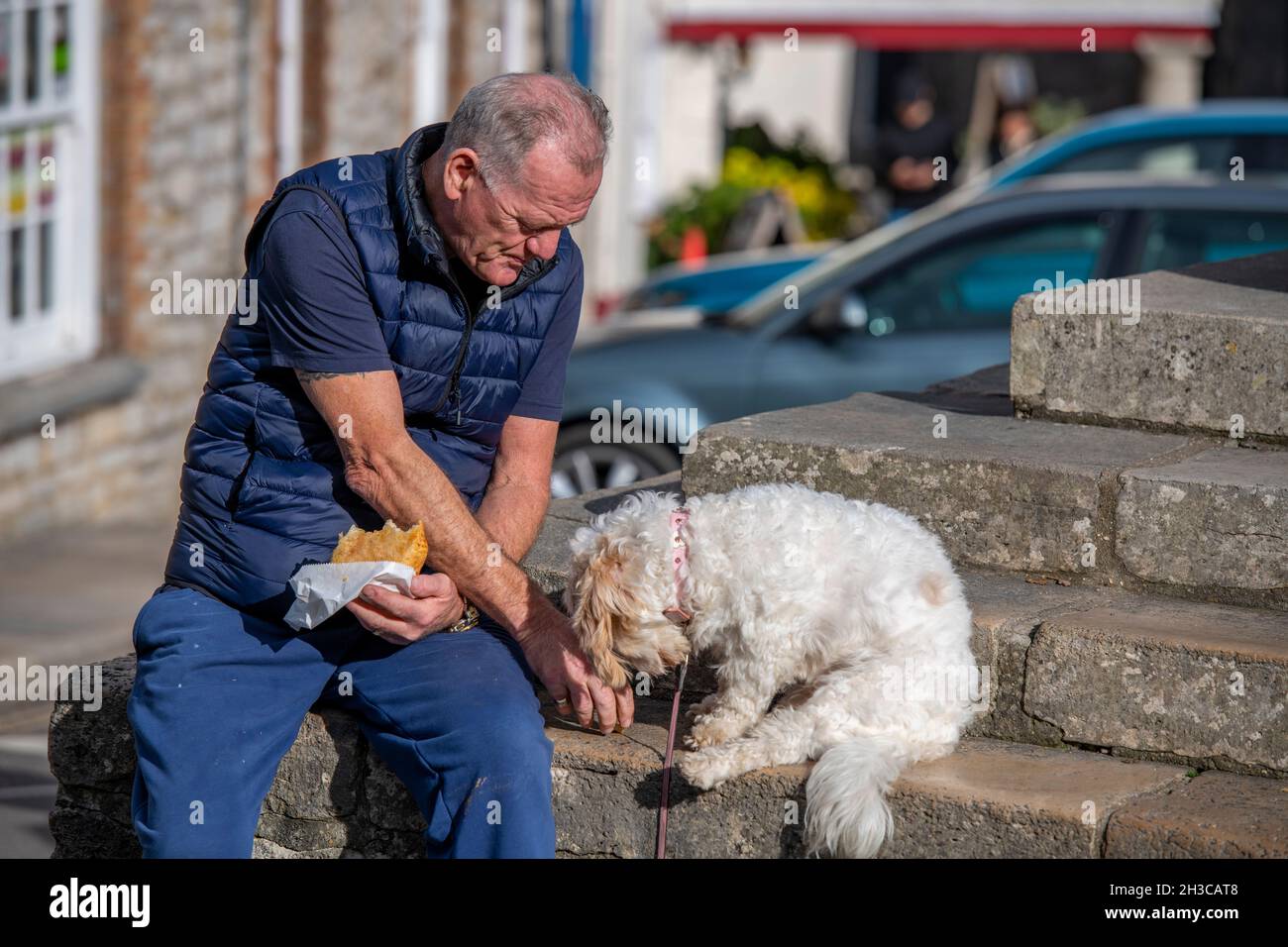man feeding his dog titbits and pieces of his pie or pasty. small ...