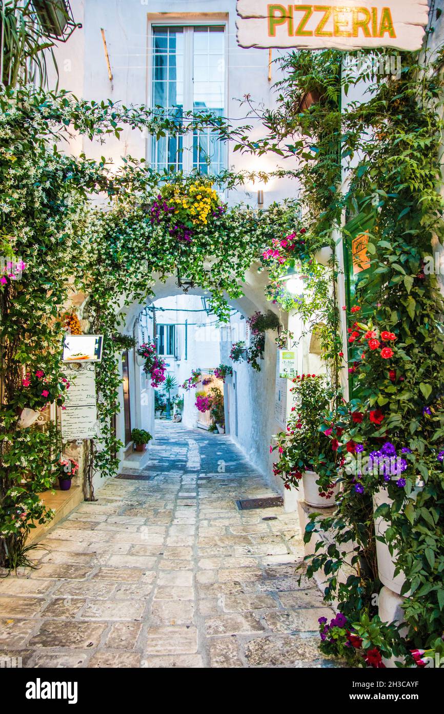 Vertical shot of a narrow path under the white building decorated with ...