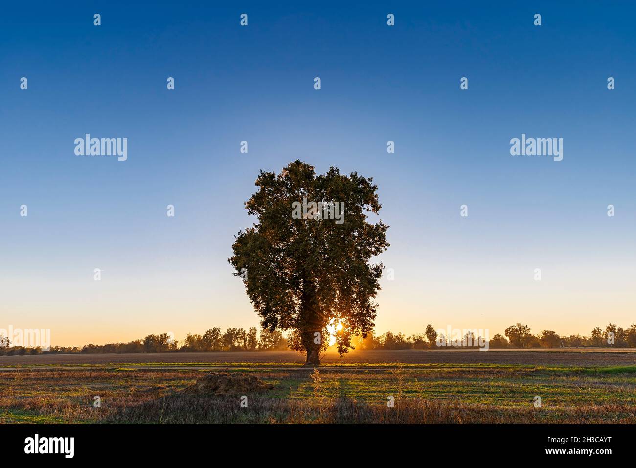 Countryside sunset landscape with vivid colors. No people are visible ...