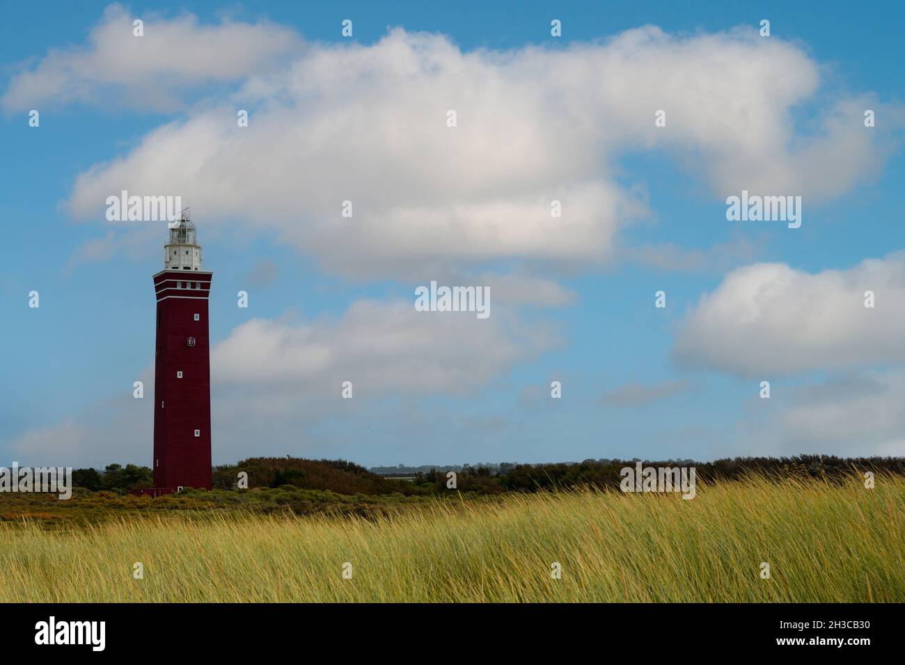 Dunes on the beach in ouddorp hi-res stock photography and images - Alamy