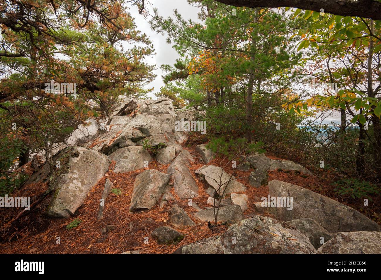 rocky hillside on mountain in Massachusetts on cloudy day in autumn ...
