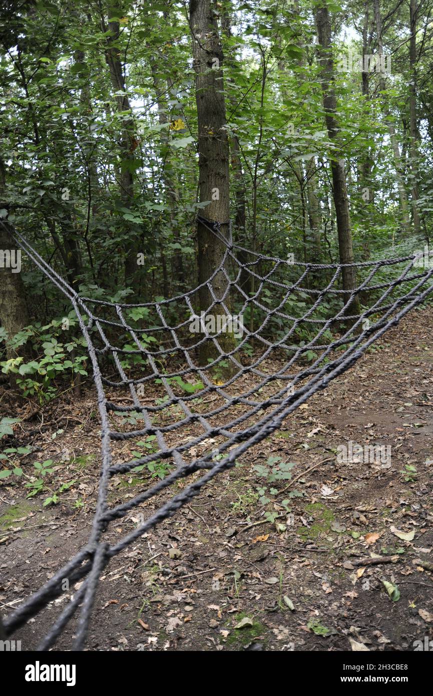 Closeup of black rope mesh tied to trees in the woods Stock Photo - Alamy