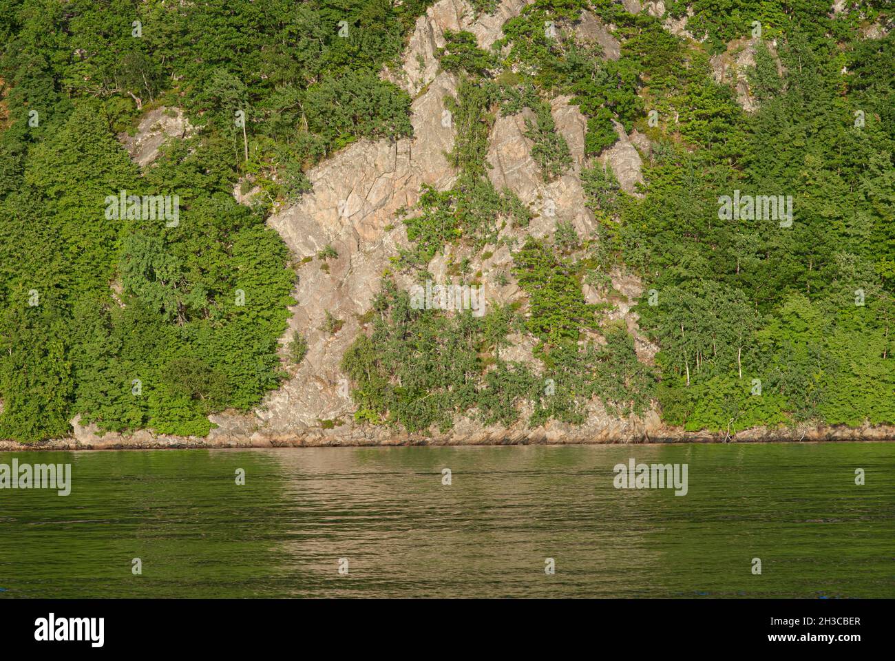 A steep cliffside with trees diving into a fjord Stock Photo - Alamy