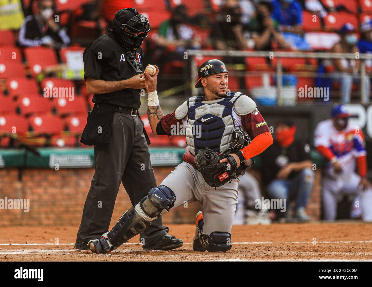 MAZATLAN, MEXICO - FEBRUARY 01: ampayer unpire revisa la bola and Jesus ...