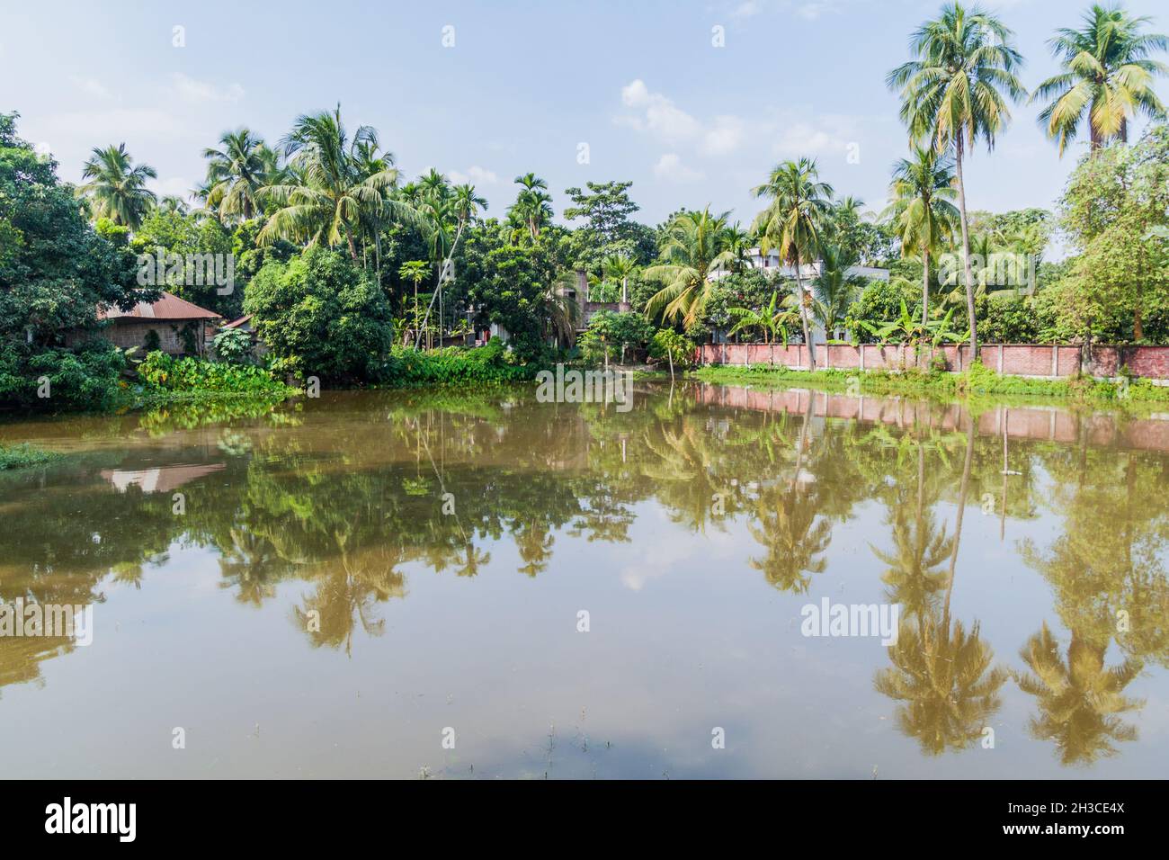 Small pond in Puthia village, Bangladesh Stock Photo - Alamy