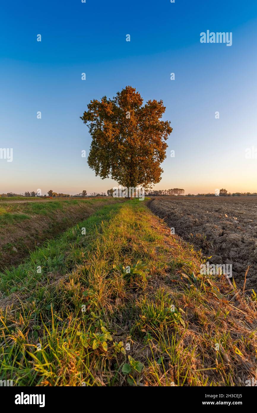 Countryside sunset landscape with vivid colors. No people are visible ...