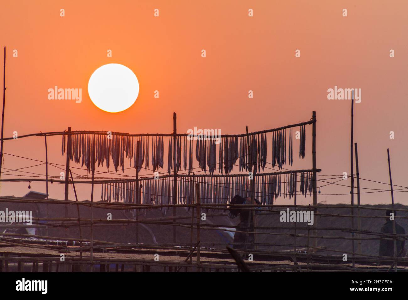 Sun rises above drying fish at Dublar Char Dubla island , Bangladesh ...