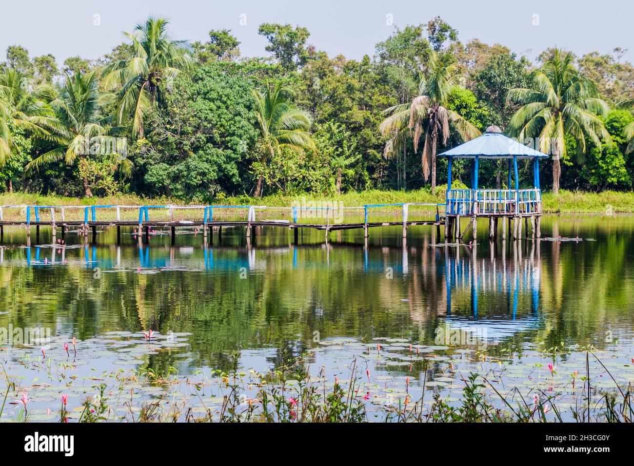 Small pond in Harbaria eco park in Sundarbans, Bangladesh Stock Photo ...