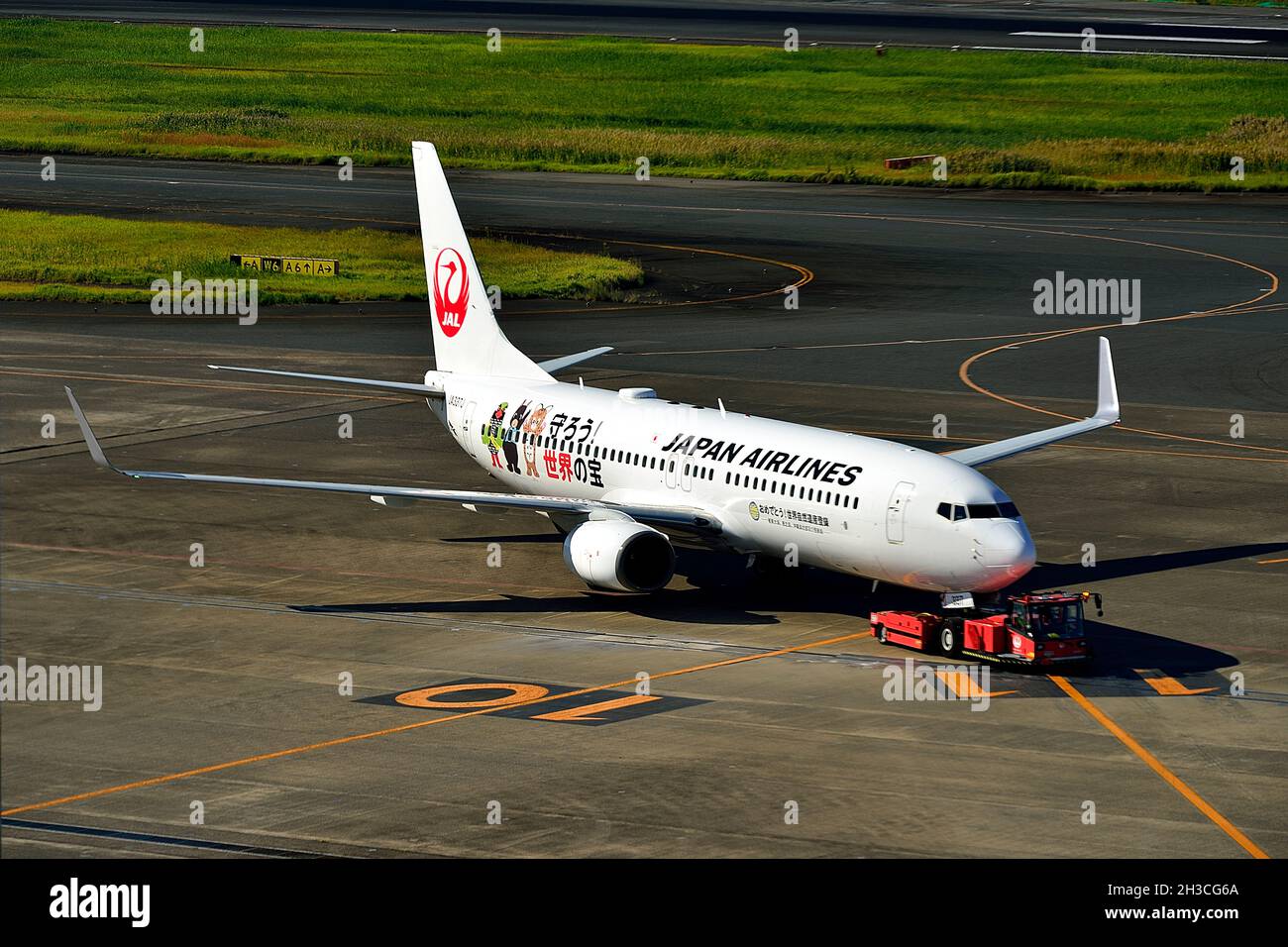 Boeing B737 800 High Resolution Stock Photography and Images - Alamy