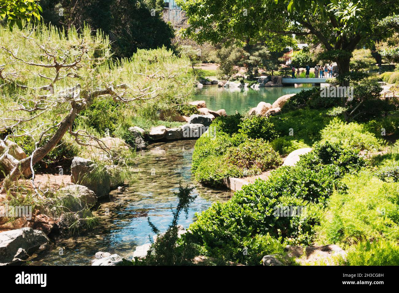 Japanese friendship garden phoenix hi-res stock photography and images ...