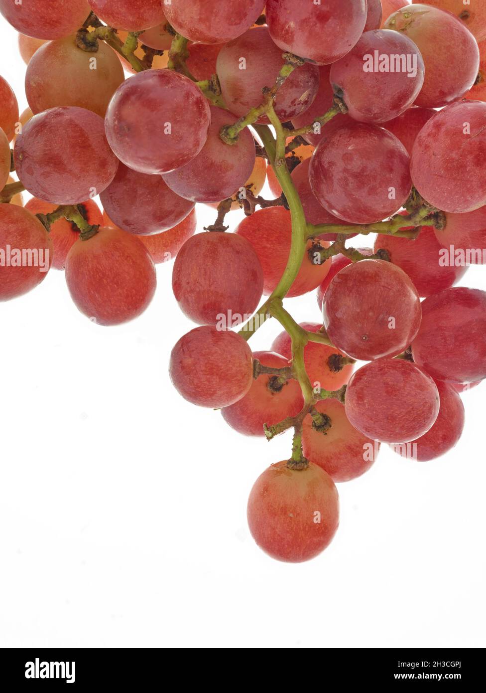 Grapes food still-life on plain background Stock Photo - Alamy