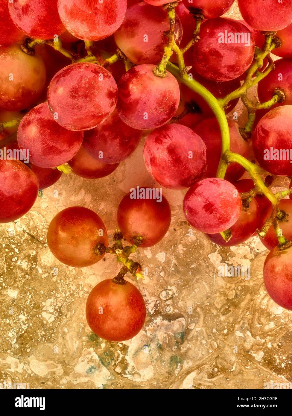 Grapes food still-life on plain background Stock Photo - Alamy