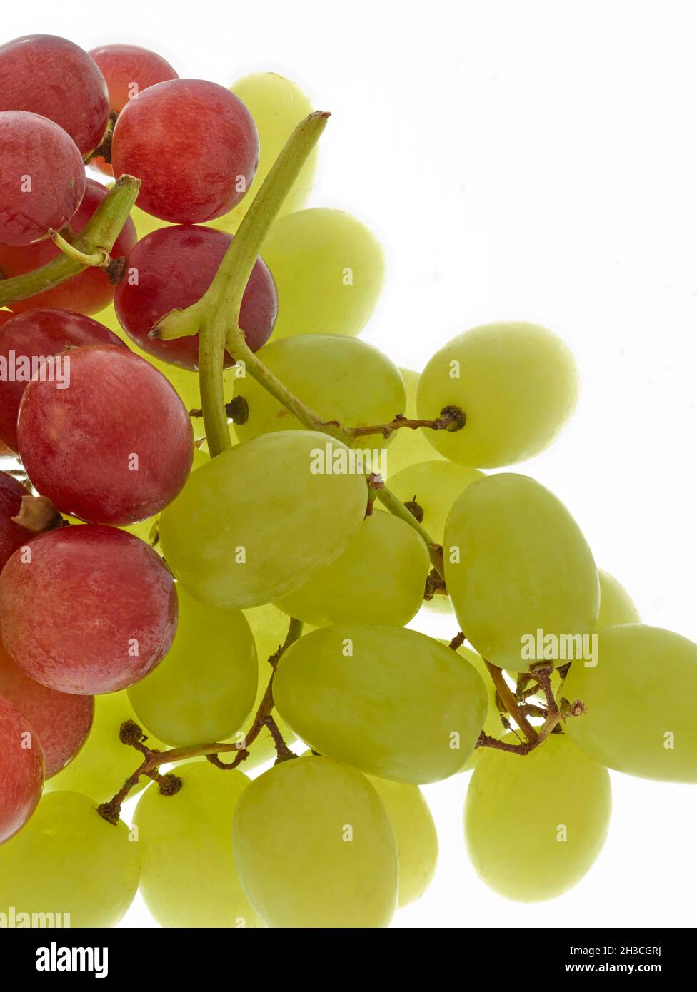 Grapes food still-life on plain background Stock Photo - Alamy