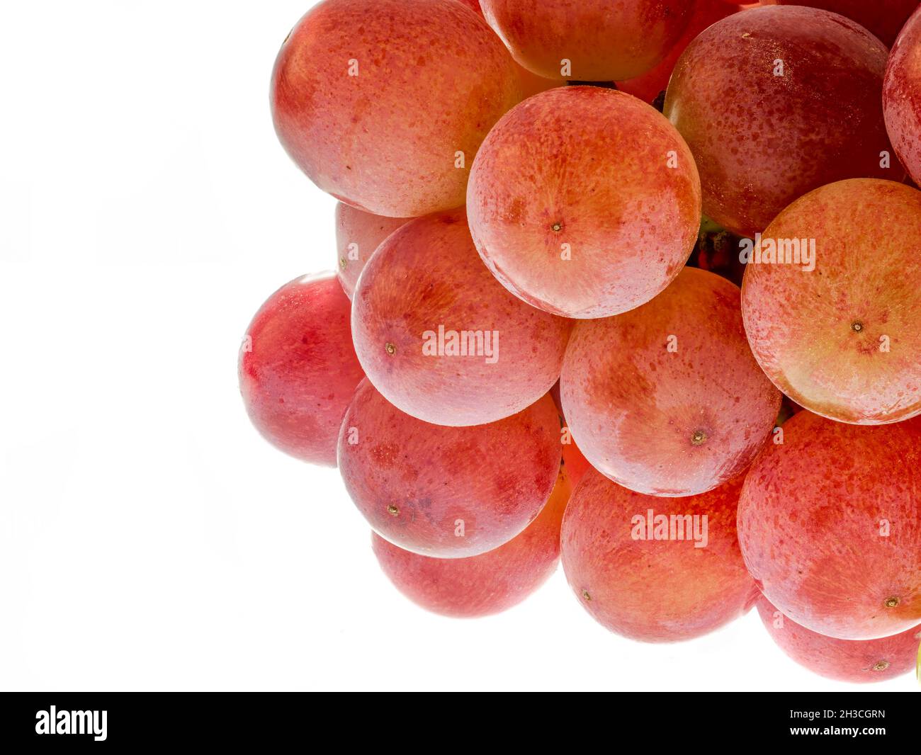 Grapes food still-life on plain background Stock Photo - Alamy