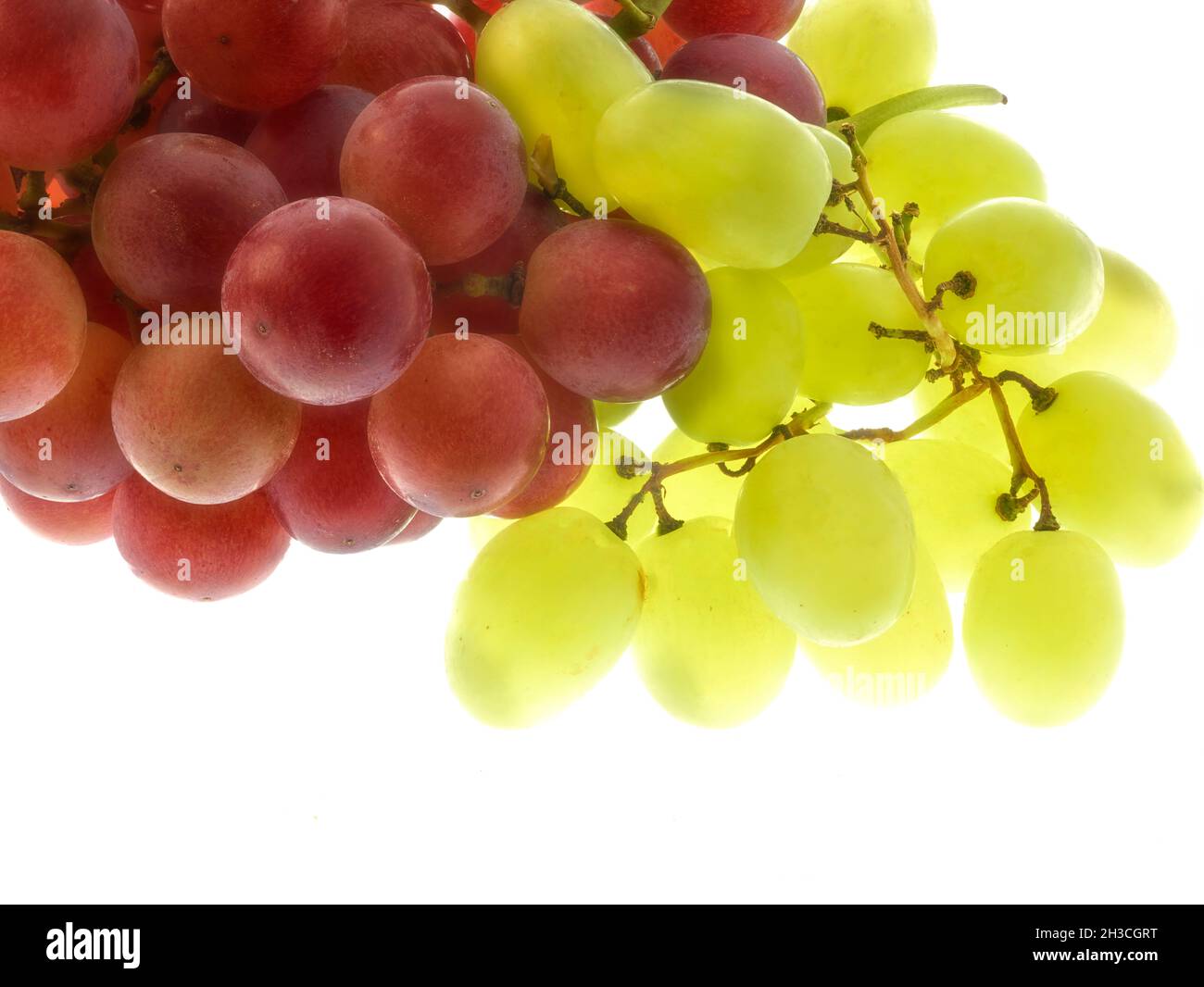 Grapes food still-life on plain background Stock Photo - Alamy