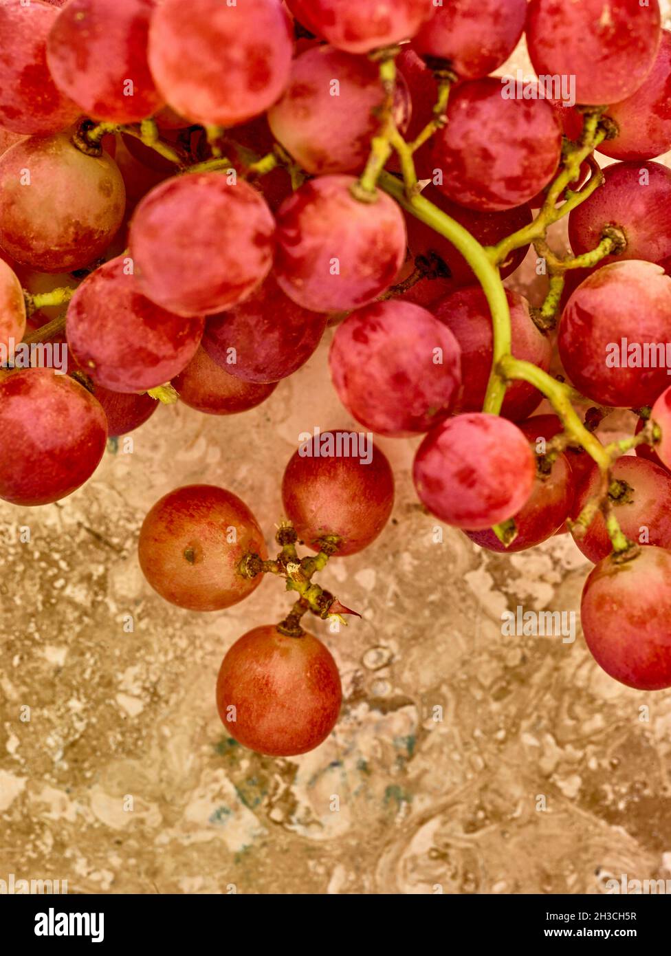 Grapes food still-life on plain background Stock Photo - Alamy