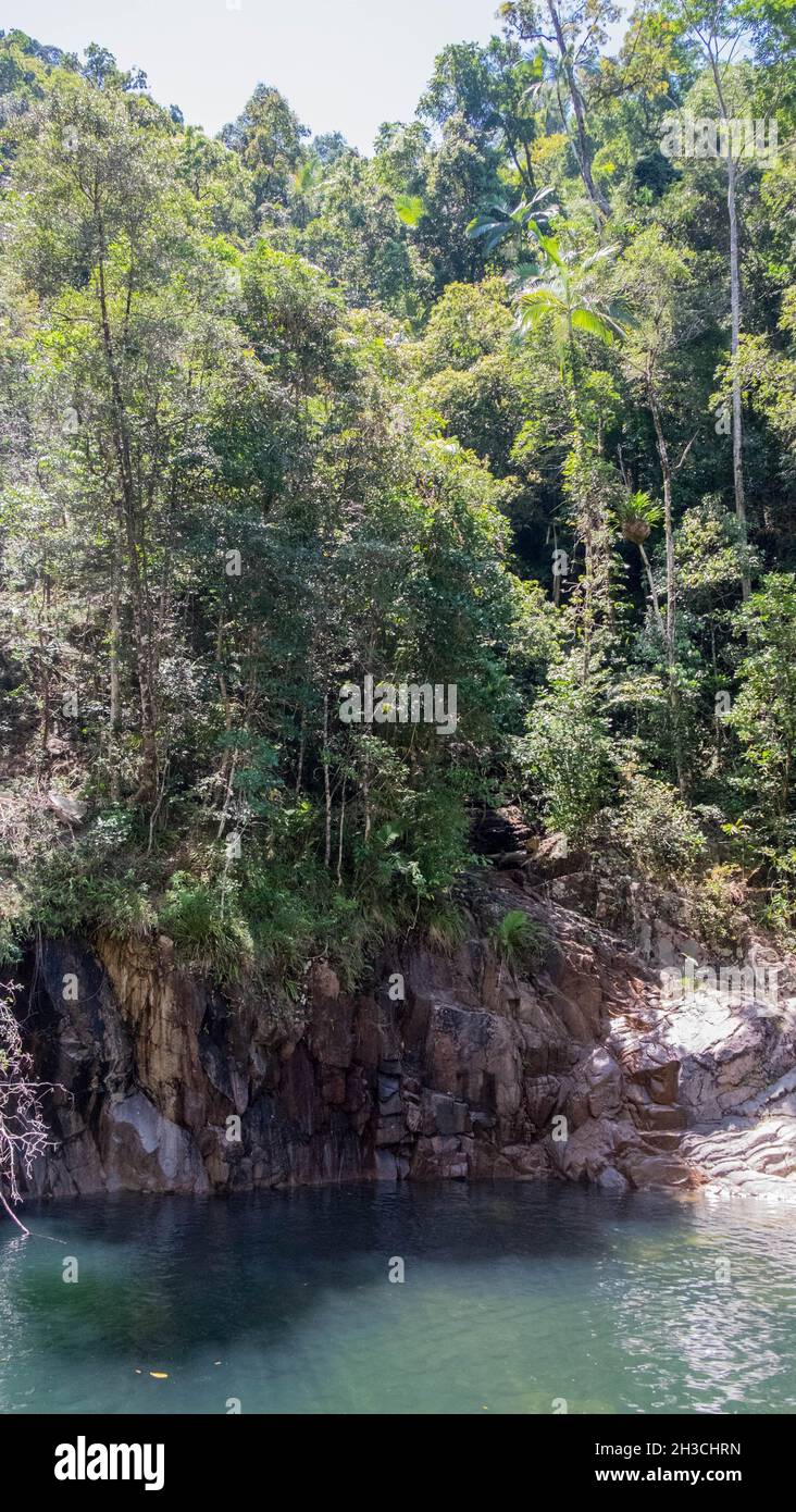 Finch Hatton Gorge Stock Photo - Alamy