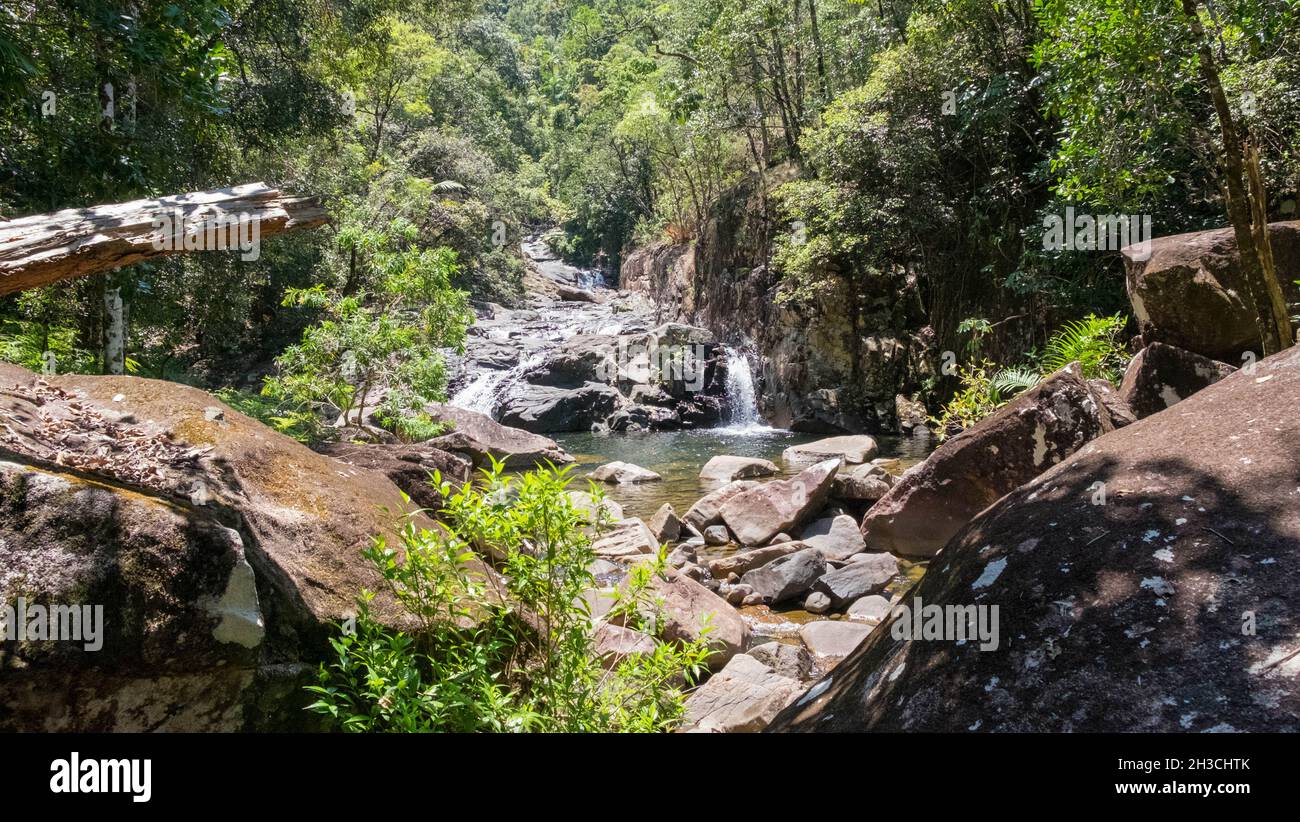 Finch Hatton Gorge Stock Photo - Alamy