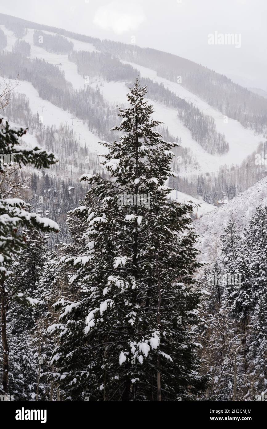 Winter Views in Vail, Colorado Stock Photo - Alamy