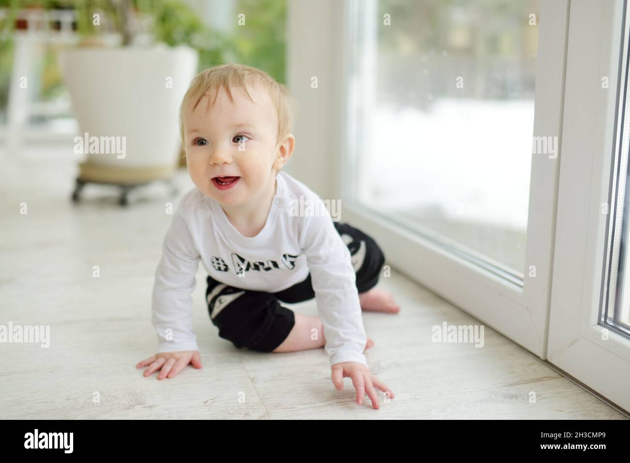 Adorable baby boy sitting by the window on sunny day. Toddler learning ...