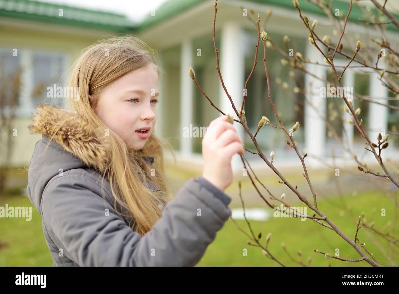 Cute young girl admiring fresh new soft buds sitting on magnolia tree ...