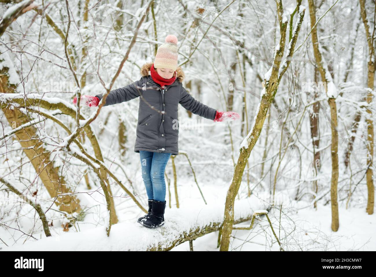 Adorable young girl having fun in beautiful winter park during snowfall ...