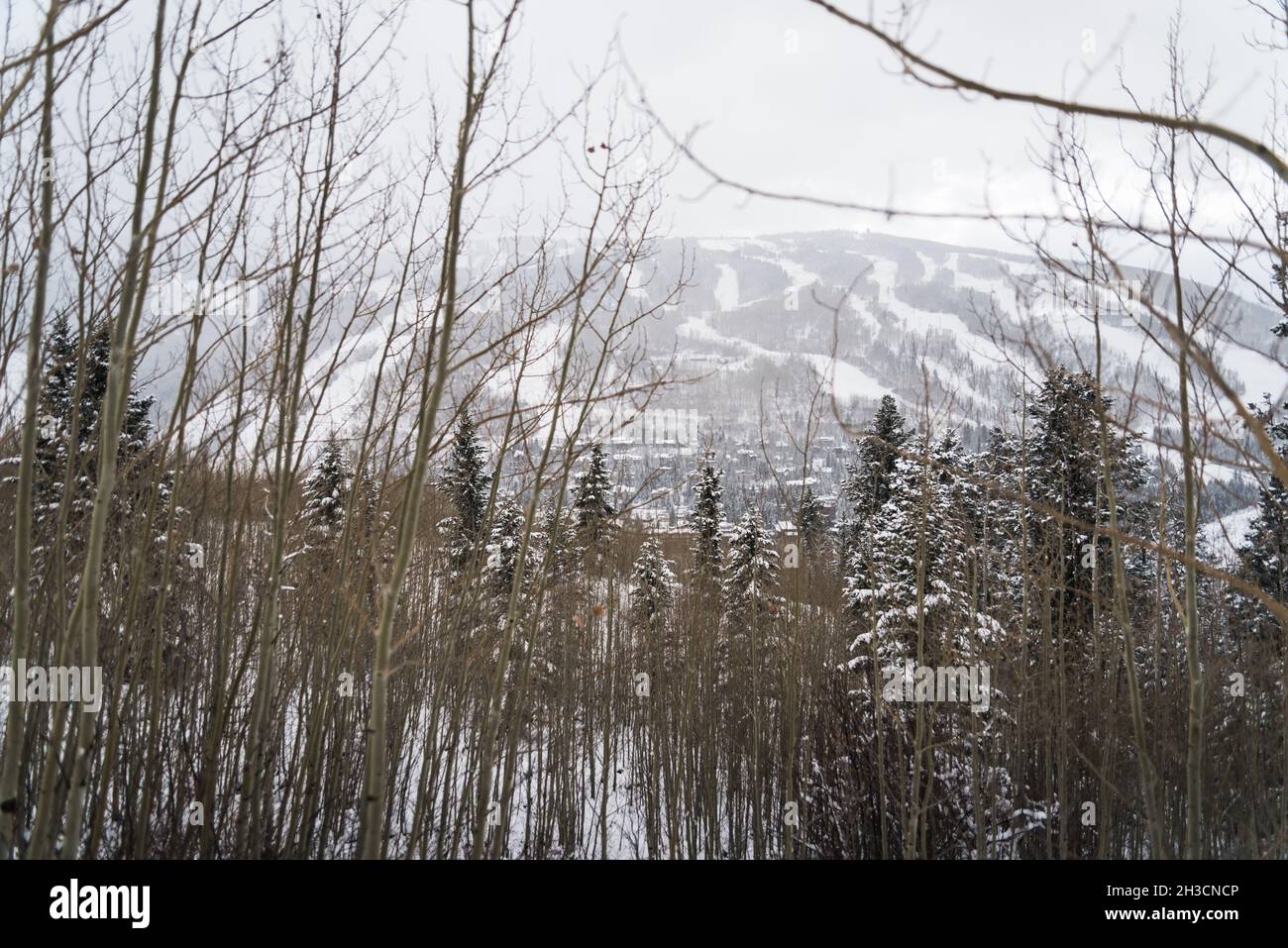 Vail holidays hi-res stock photography and images - Alamy