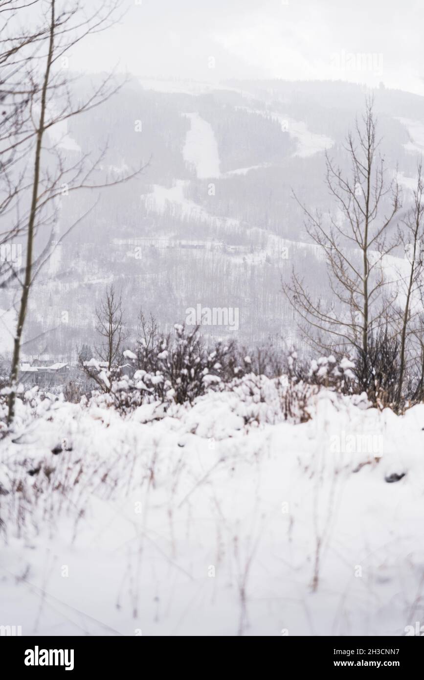 Vail holidays hi-res stock photography and images - Alamy