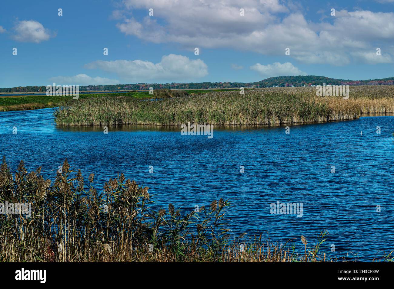 Parker river national wild life refuge hi-res stock photography and ...
