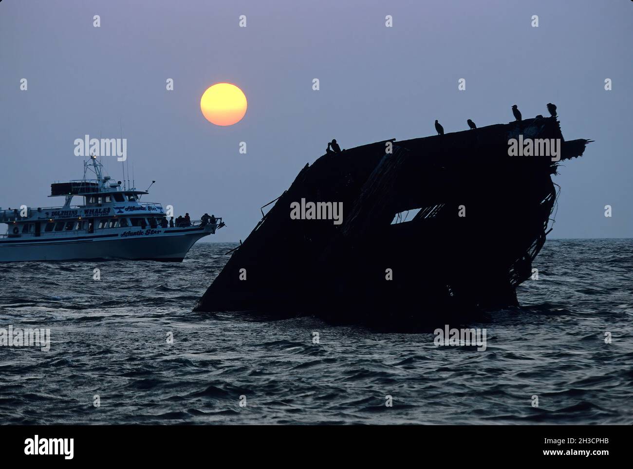 Cape May Ferry and SS Atlantus concrete ship wreck near sundown Stock ...