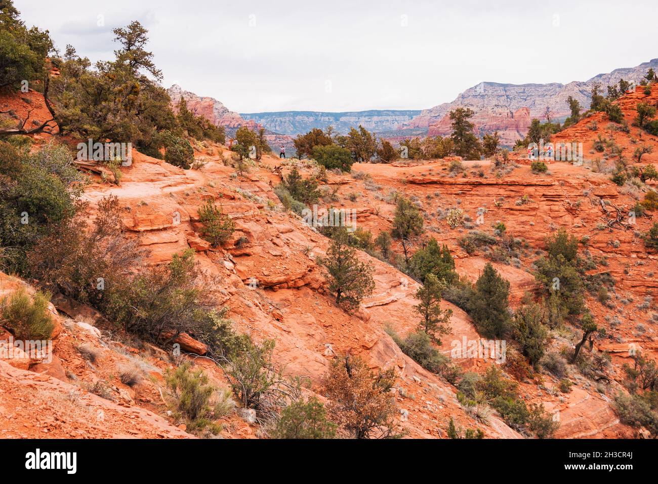 Airport Loop hiking trail in Sedona, Arizona. Famous for its vibrant ...