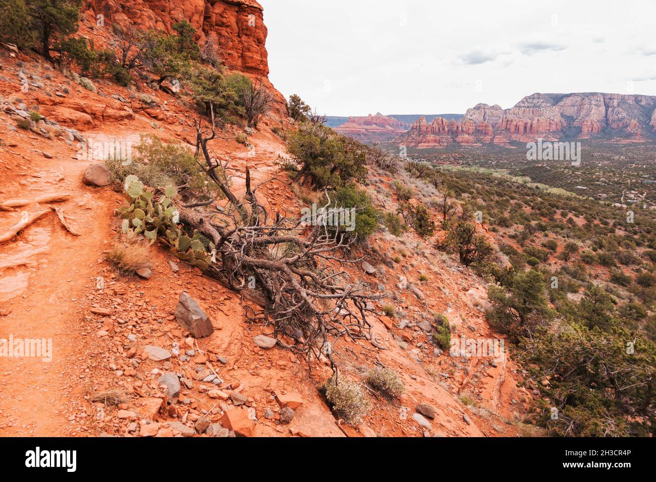 Airport Loop hiking trail in Sedona, Arizona. Famous for its vibrant ...