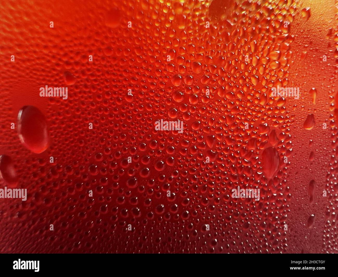 Closeup shot of the condensation on a cold brew coffee cup Stock Photo ...
