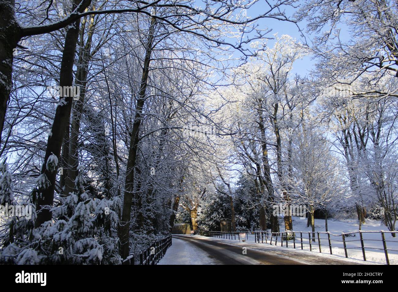 Forest road on winters hi-res stock photography and images - Alamy