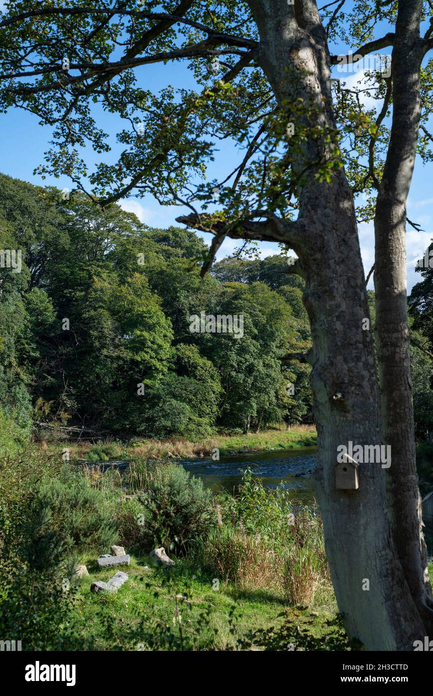 Maisemore Court and St Giles church viewed across the lake in the ...
