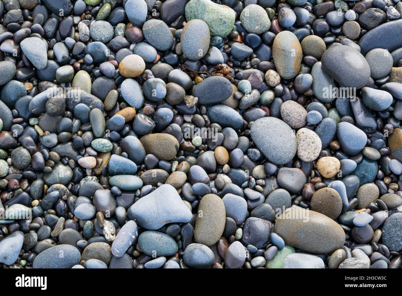 Pebble strewn beach hi-res stock photography and images - Alamy