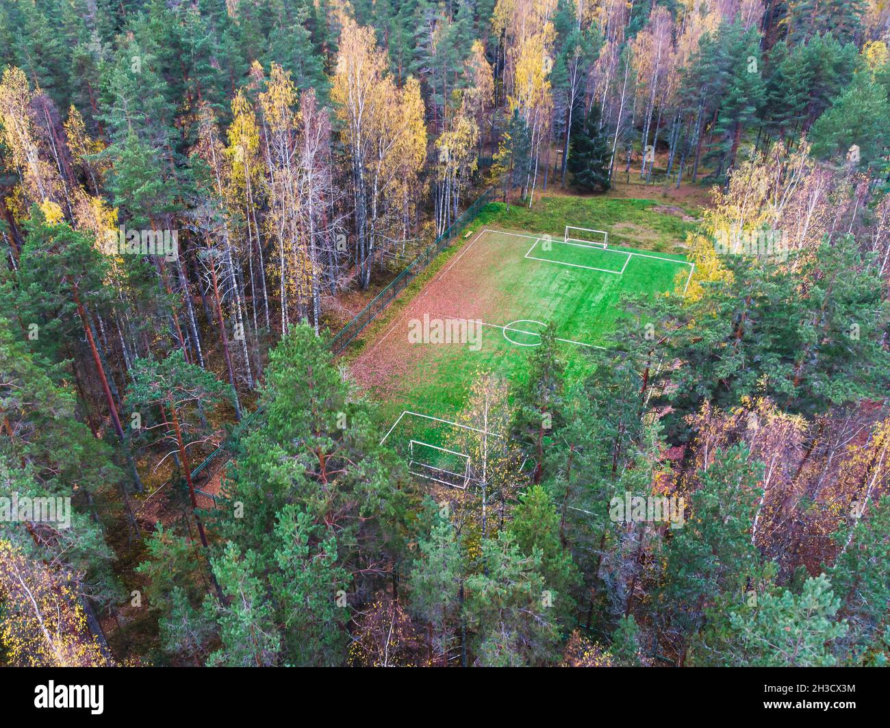 Treetop ball hi-res stock photography and images - Alamy