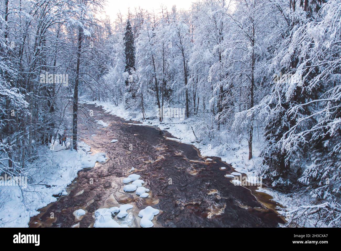 Winter snowy aerial landscape of forest with the river, Lapland ...