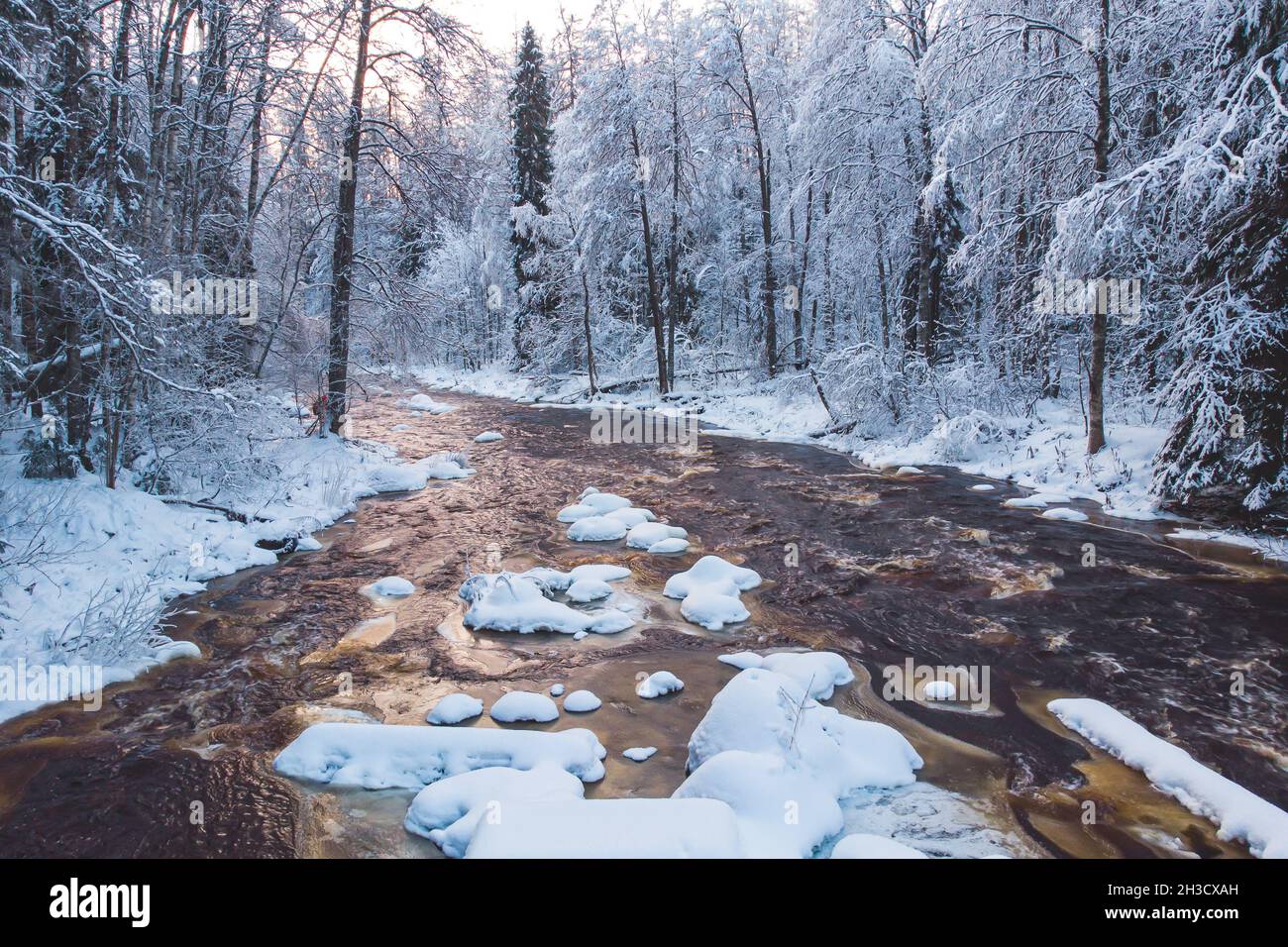 Winter snowy aerial landscape of forest with the river, Lapland ...