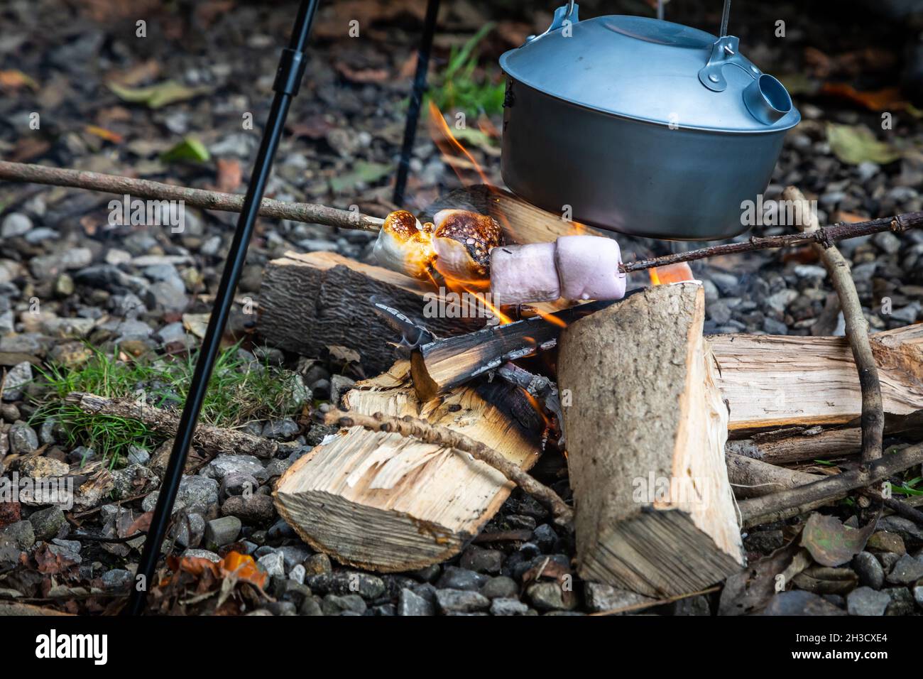 Camping, Survival skills, Fire, cooking, orienteering, ropes knots ...