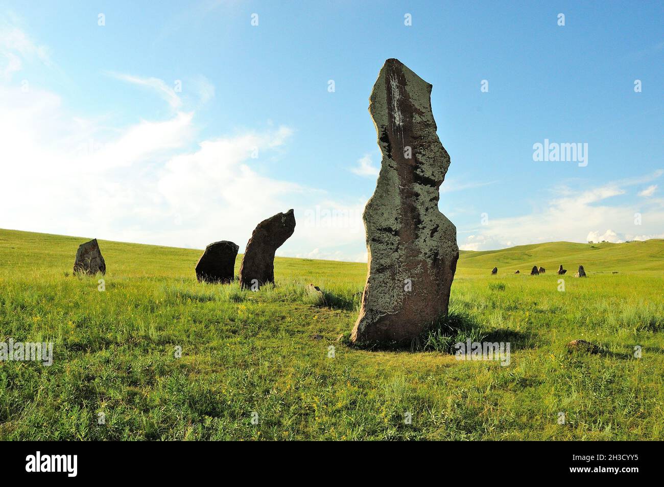 Huge stone menhirs in ancient burial places in the center of a ...