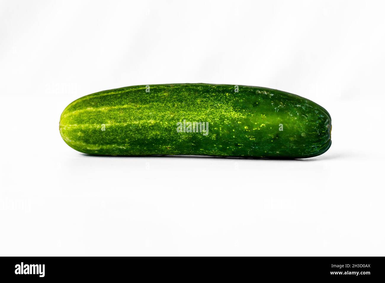 One cucumber for fresh vegetables, isolated on a white background, copy ...