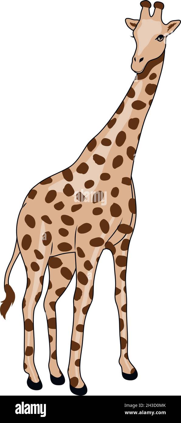 wild african giraffe animal icon Stock Vector Image & Art - Alamy