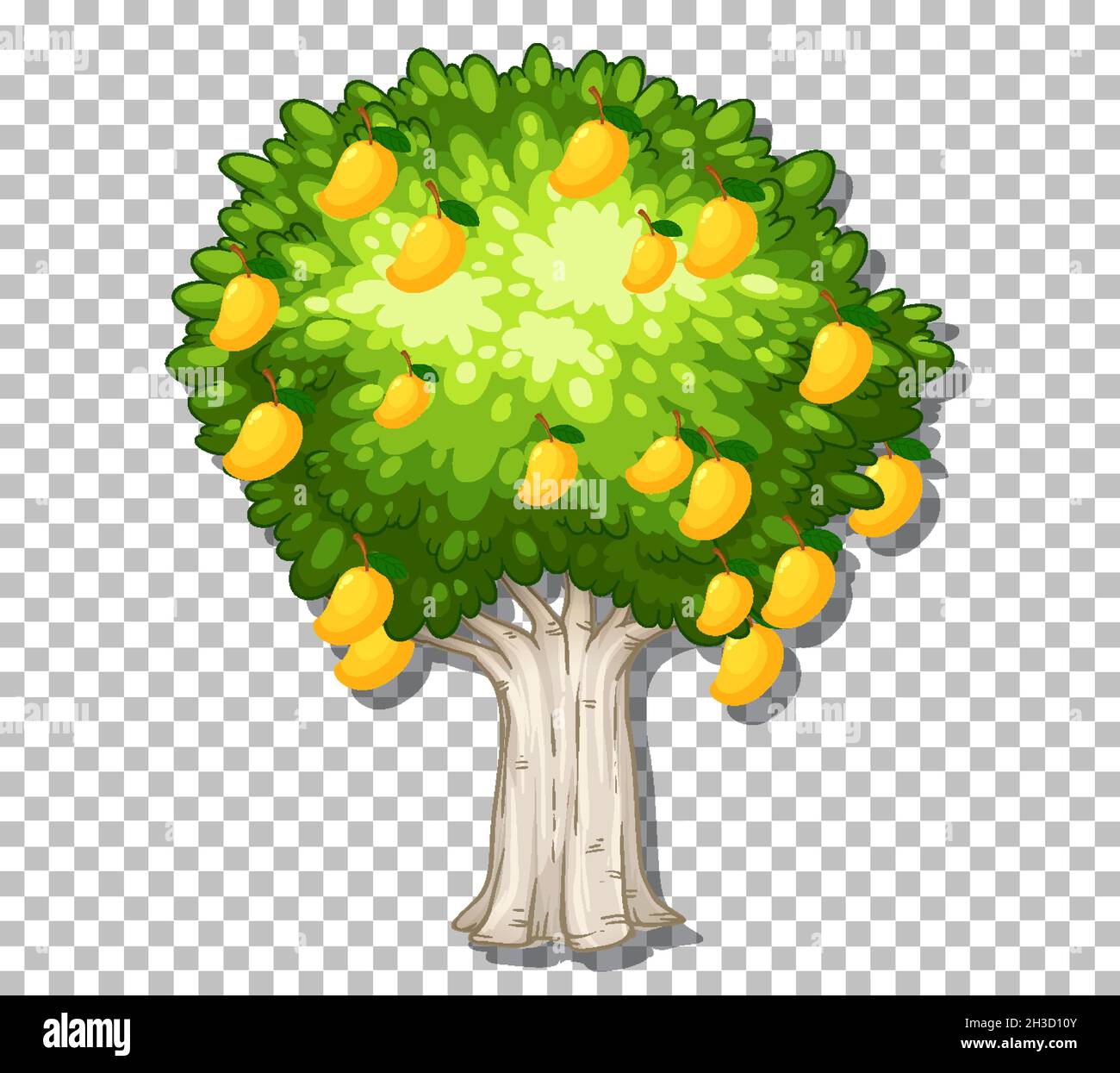 Mango tree on transparent background illustration Stock Vector Image ...