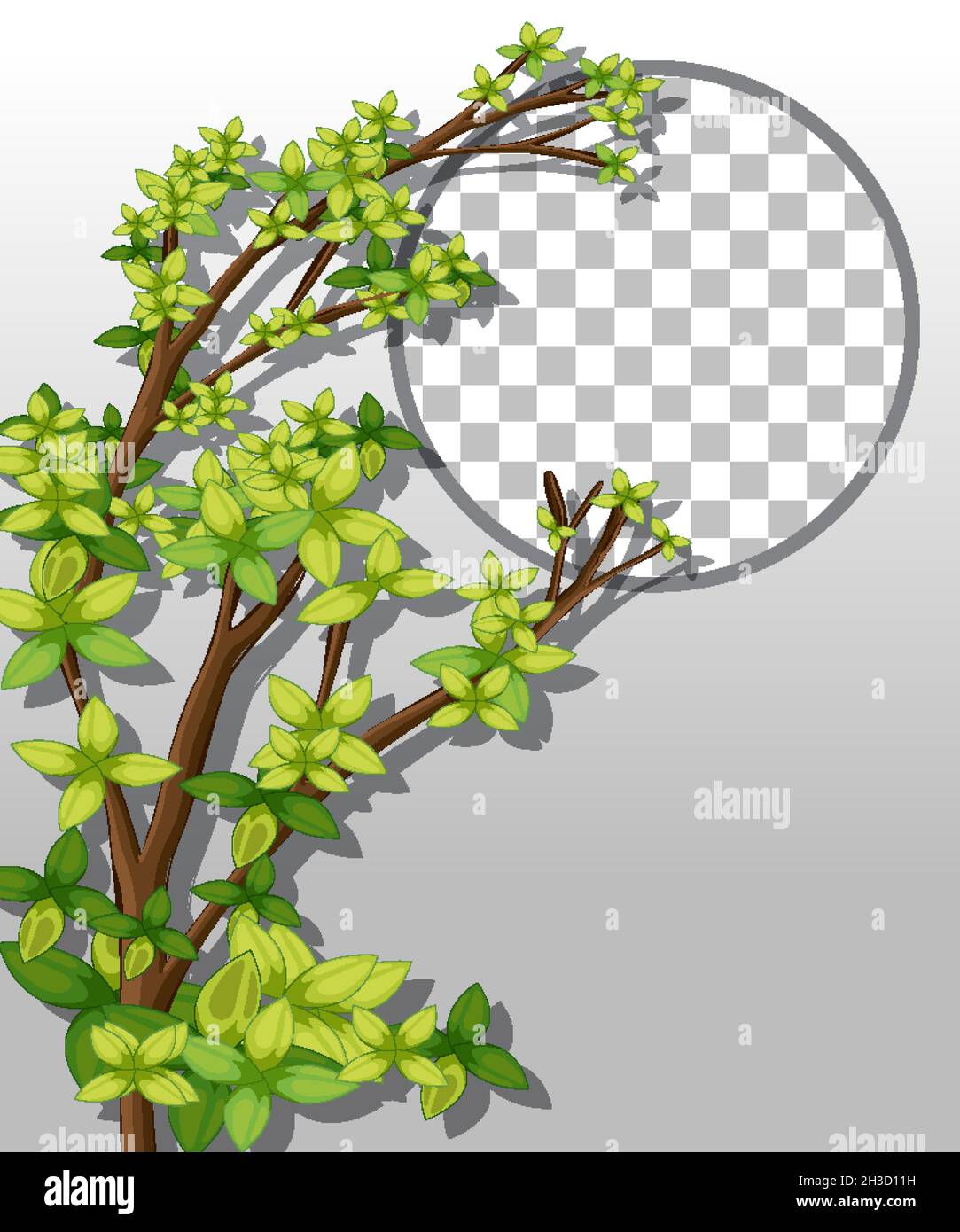 Nature plants frame transparent background illustration Stock Vector ...