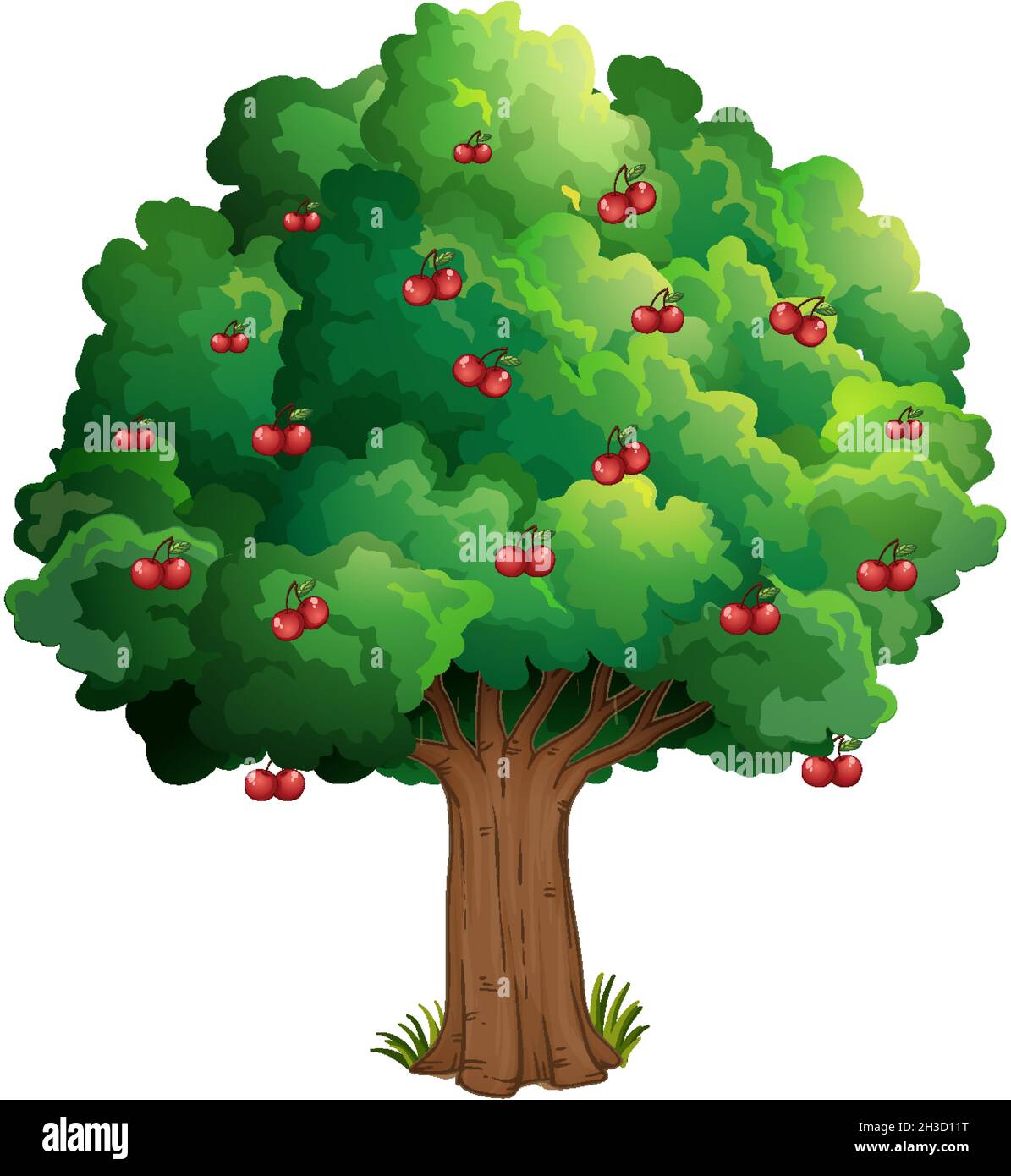 Cherry tree isolated on white background illustration Stock Vector ...