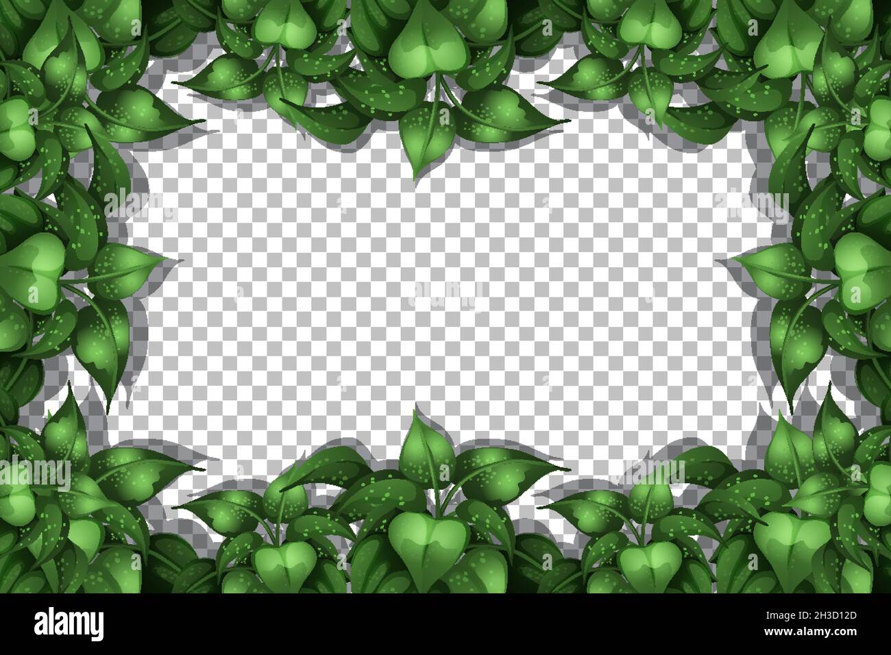 Nature plants frame transparent background illustration Stock Vector ...