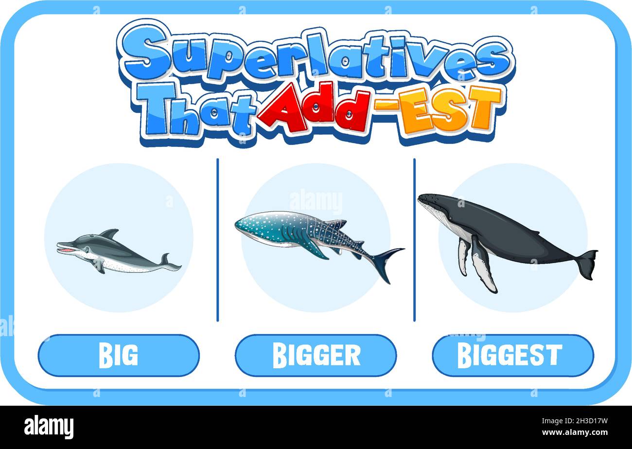 Comparative and Superlative Adjectives for word big illustration Stock ...