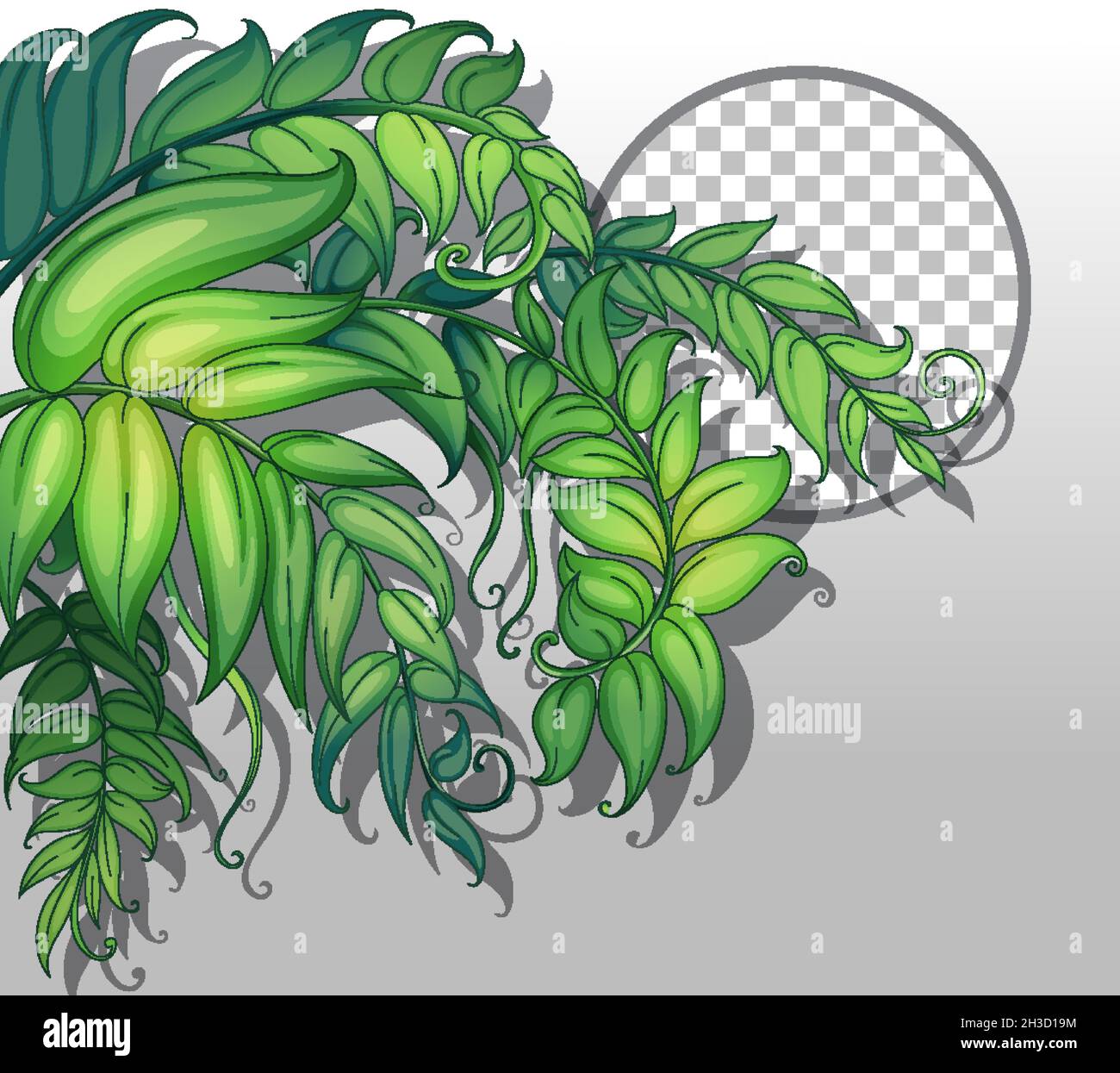 Nature plants frame transparent background illustration Stock Vector ...